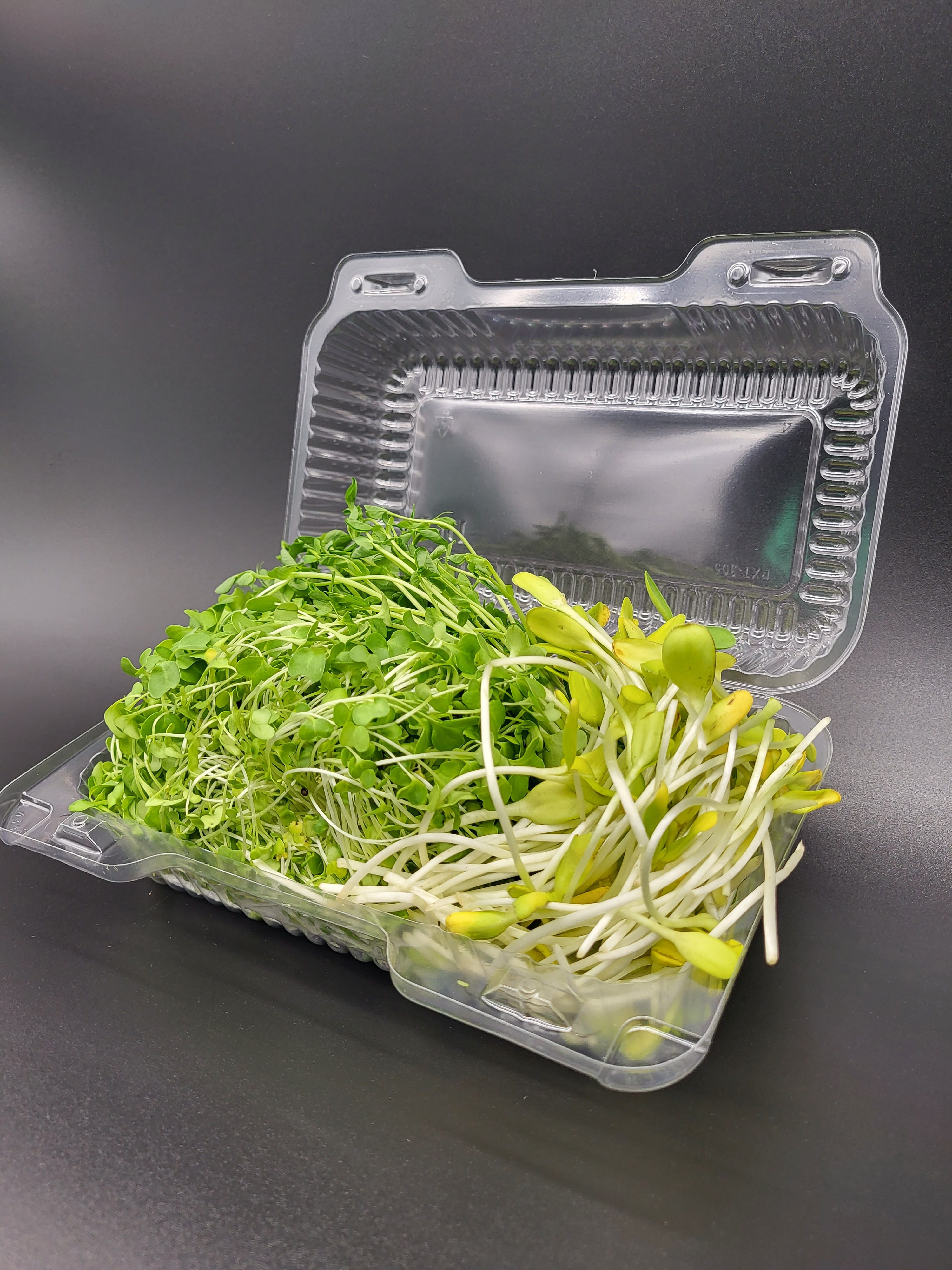 8oz Salad Microgreen Mix