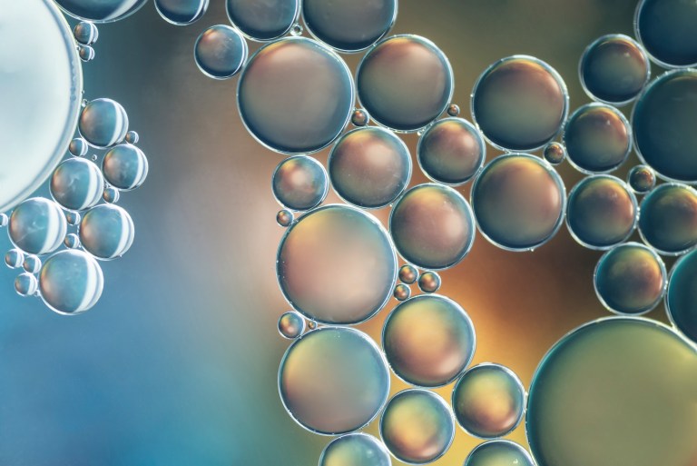 Liposomal Encapsulation